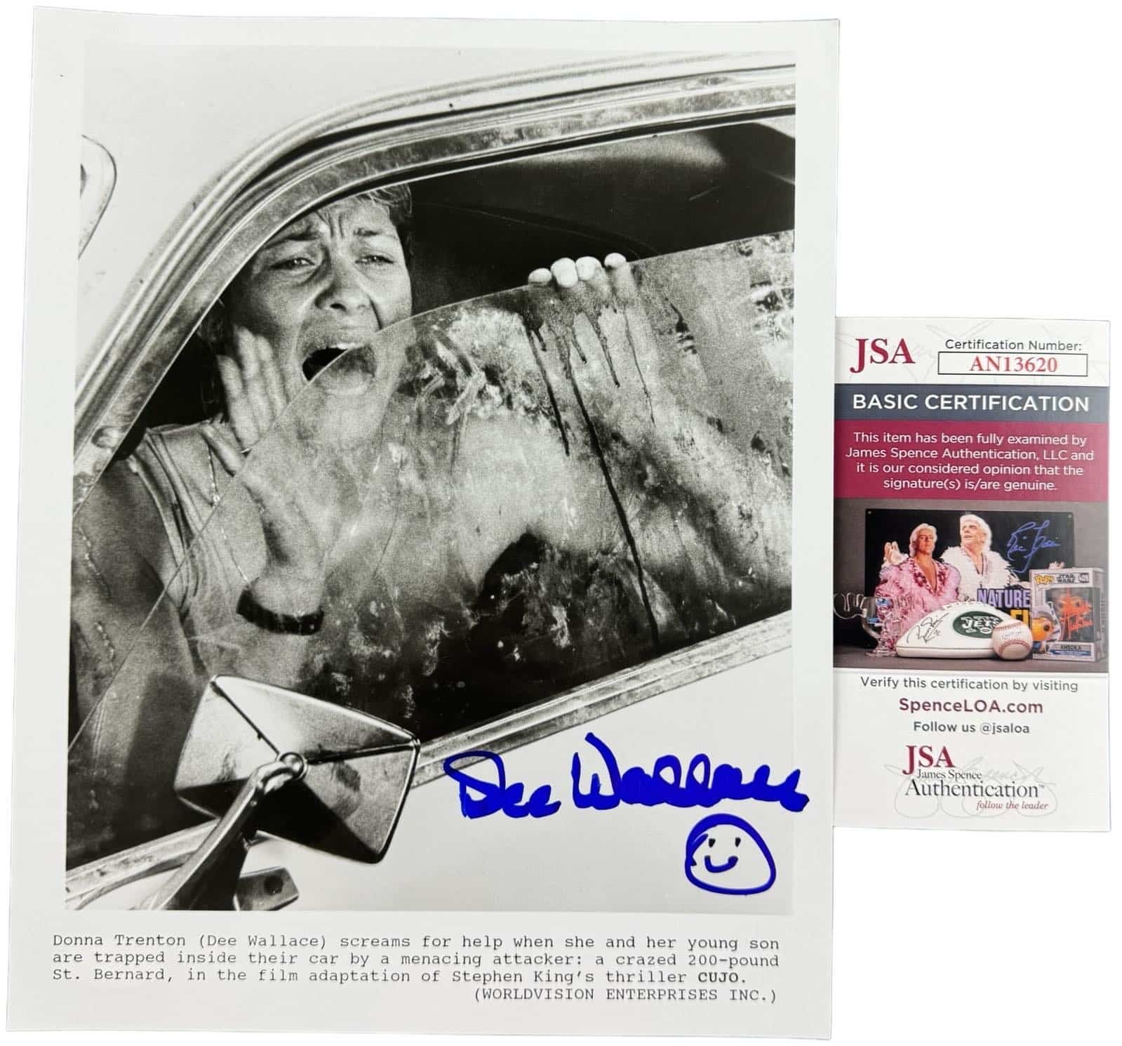 CSR Collectibles - Dee Wallace signed 8×10 Original Press Photo Donna ...