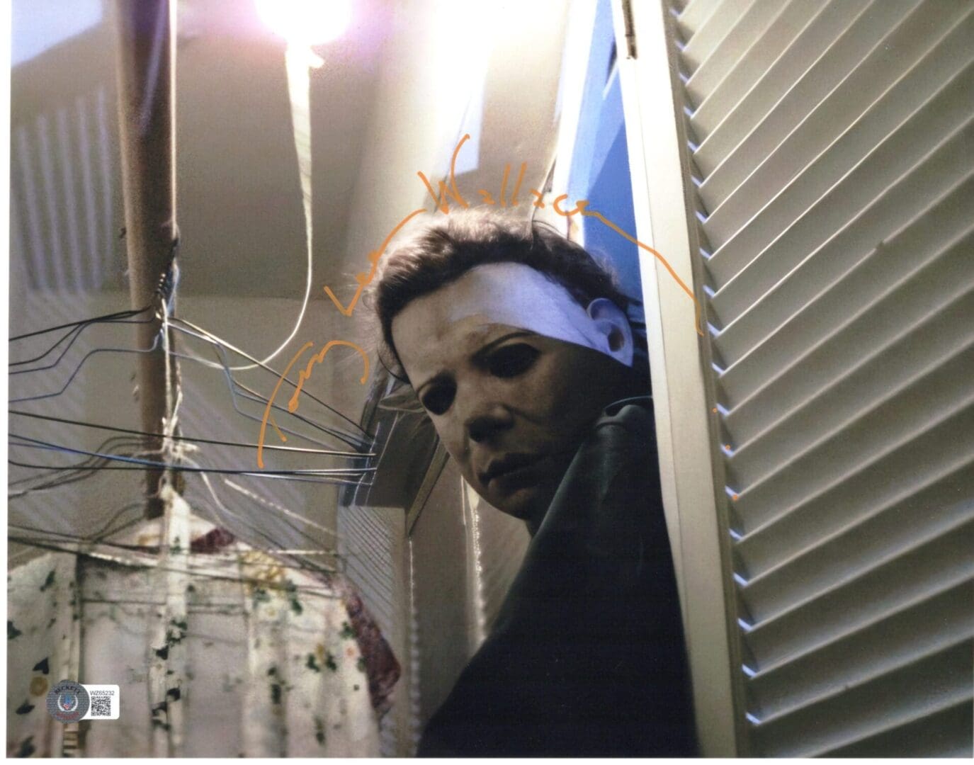 CSR Collectibles - Tommy Lee Wallace signed 11×14 Photo Michael Myers ...