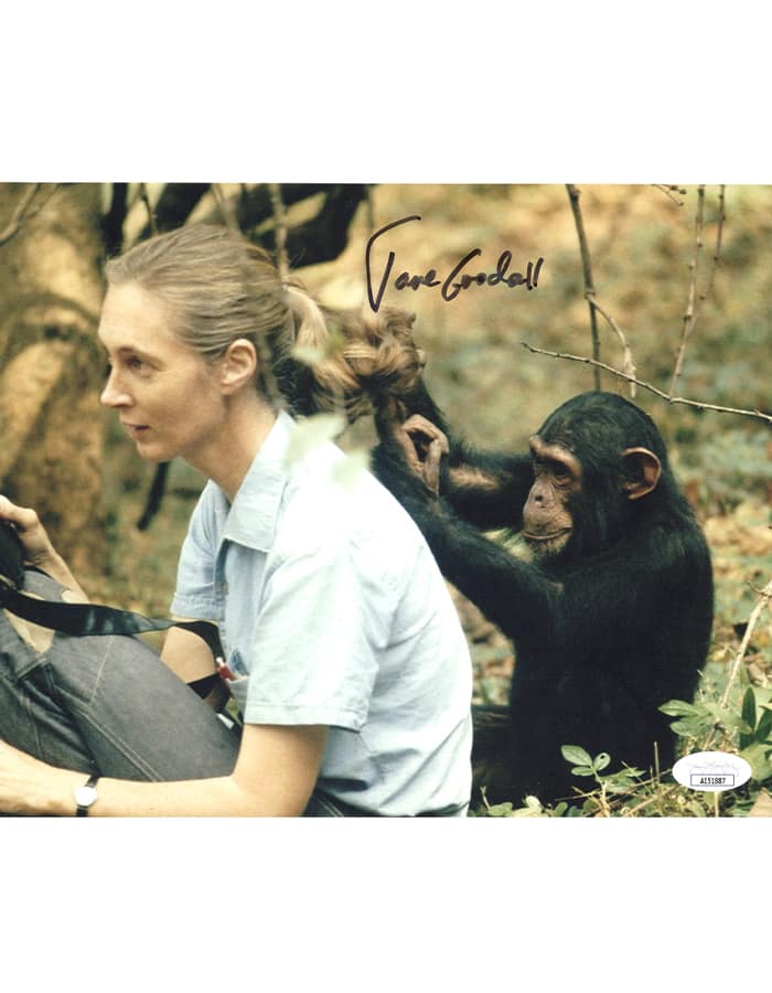 CSR Collectibles - Jane Goodall signed 8×10 Photo Anthropologist