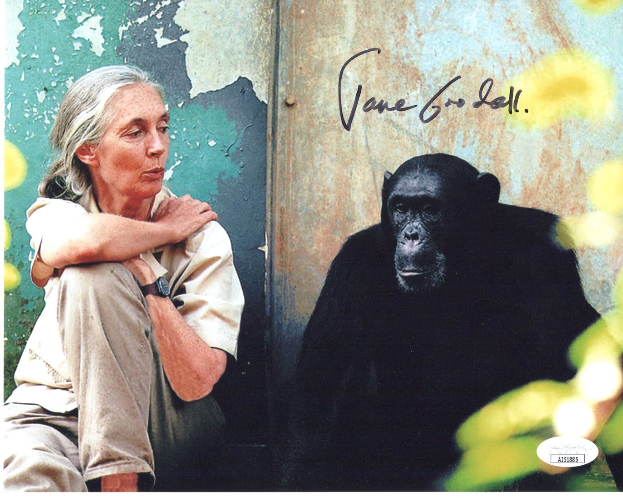 CSR Collectibles - Jane Goodall signed 8×10 Photo Anthropologist